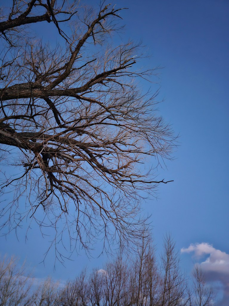 12 | January | 2026 | Open Space Practice, (AKA: A Thousand Shades of Gray)